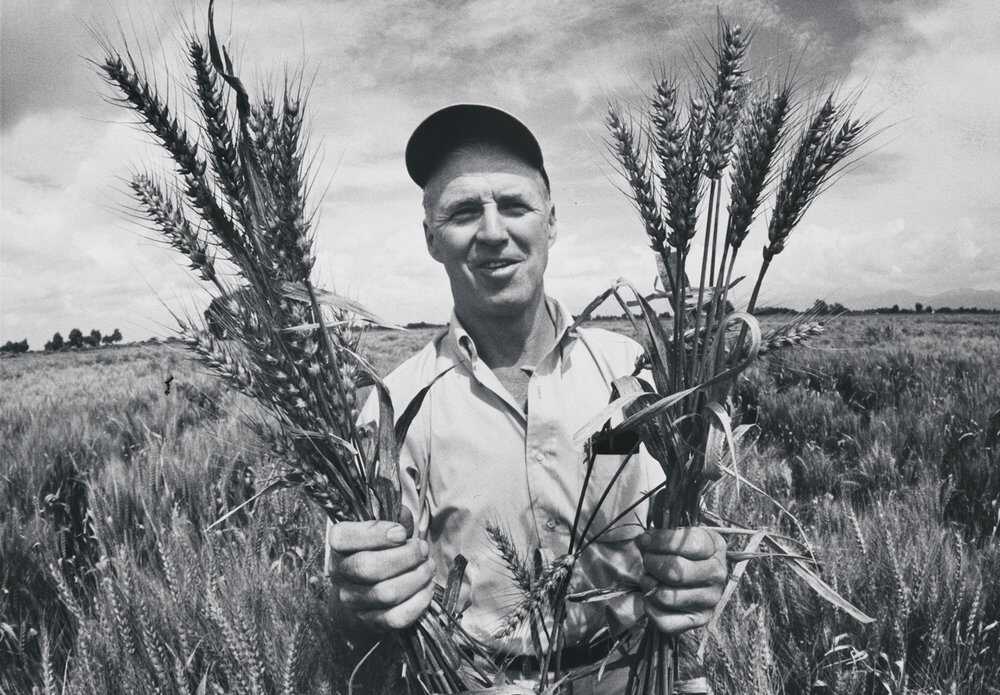 Norman Borlaug: The Man Who Fed the World and Sparked the Green Revolution