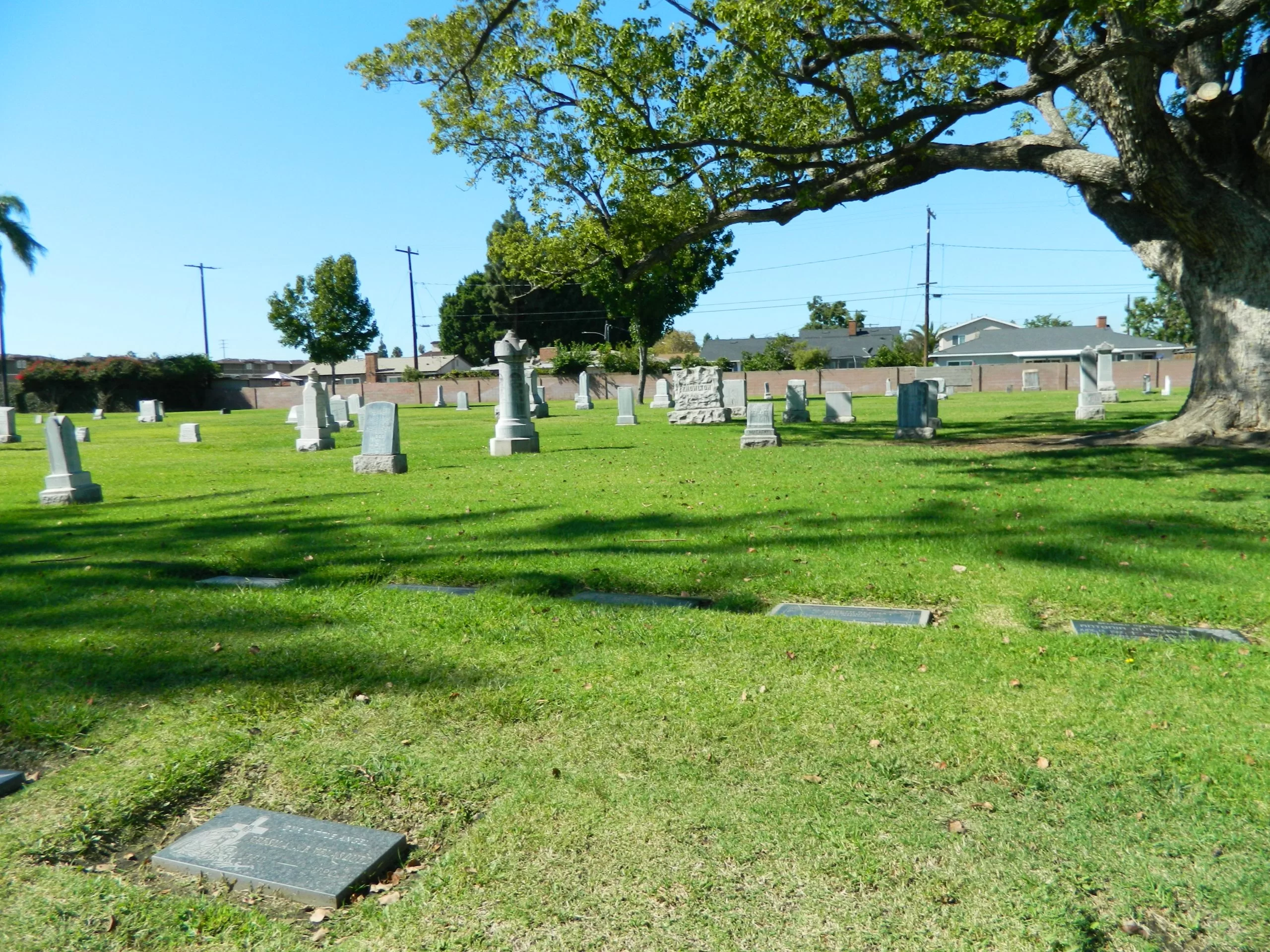 Anaheim Cemetery's Tricky Body Count: A Mystery Beneath the Surface ...